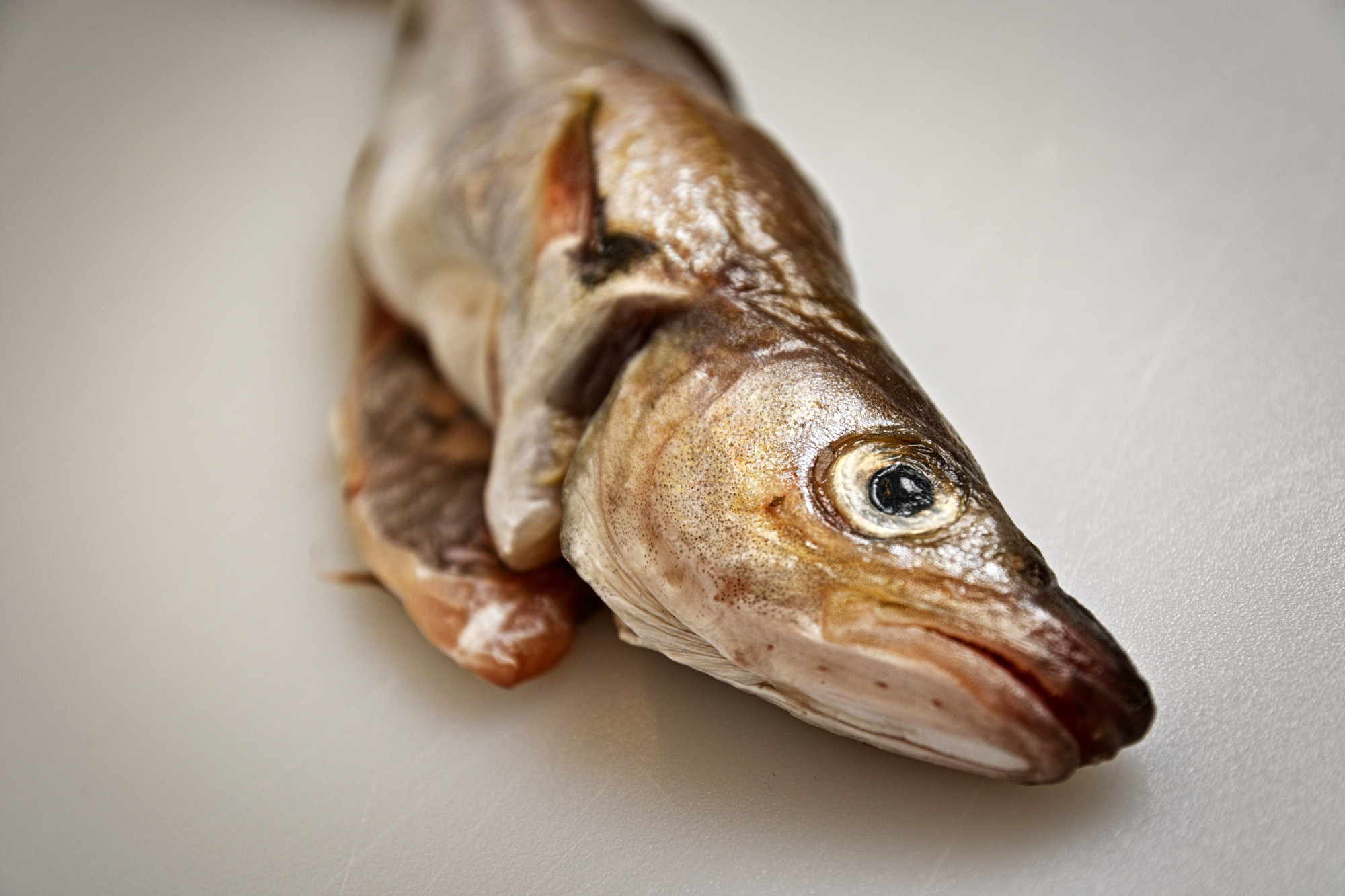 Skindstegt hvillingfilet mirepoix - Mad med fisk